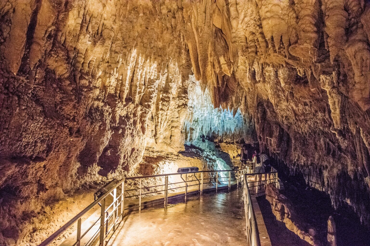 Adventure] Experience all that Okinawa has to offer at Okinawa World ...